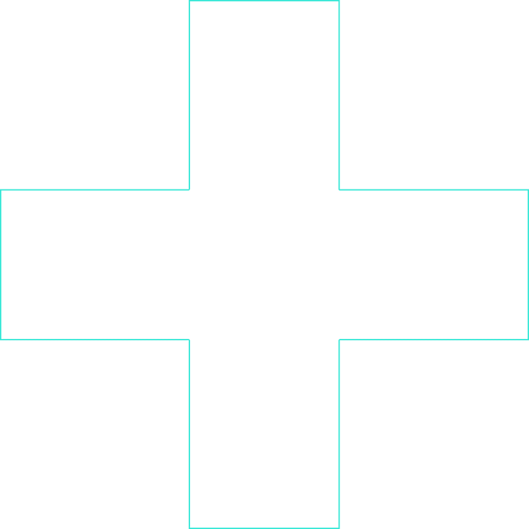 PROTECT+ / Cyber Security Services, Cyber Security Experts